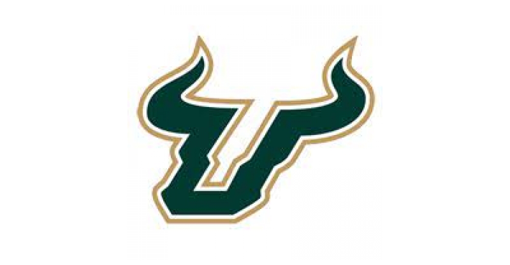 Graphic Designer with University of South Florida (USF) | General ...